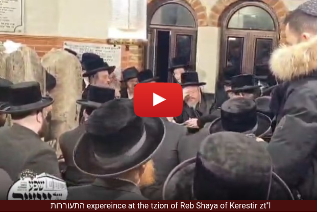 MOMENTOUS TRIP TO REB SHAYA'LA KERESTIR - World of Belz
